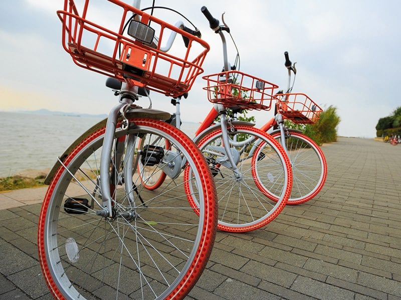 Family Fun Activities on Anna Maria Island | Silver Resorts